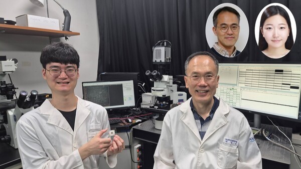 KAIST, 6배 정밀한 3D 뇌 모사 플랫폼 구현 성공